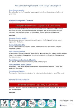 Overview of The Organization Maturity Index | PDF