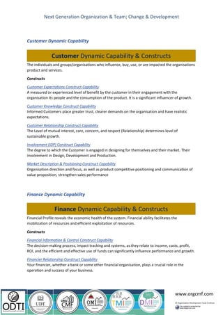 Overview of The Organization Maturity Index | PDF