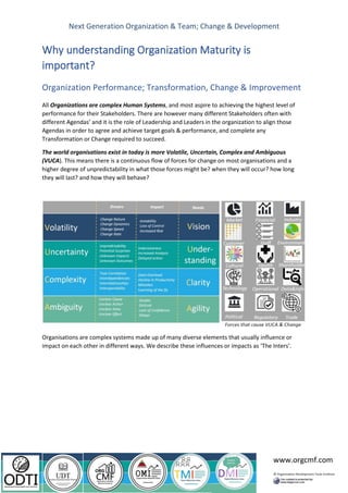 Overview of The Organization Maturity Index | PDF