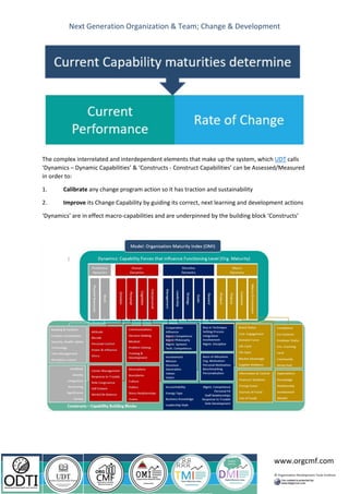 Overview of The Organization Maturity Index | PDF