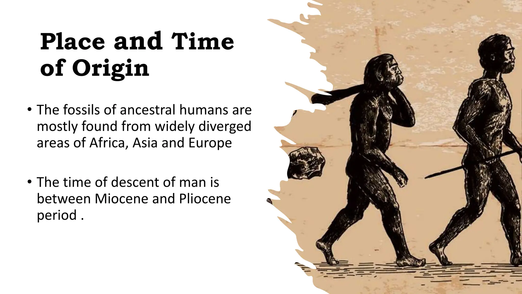 Overview of Origin and evolution of man.pptx