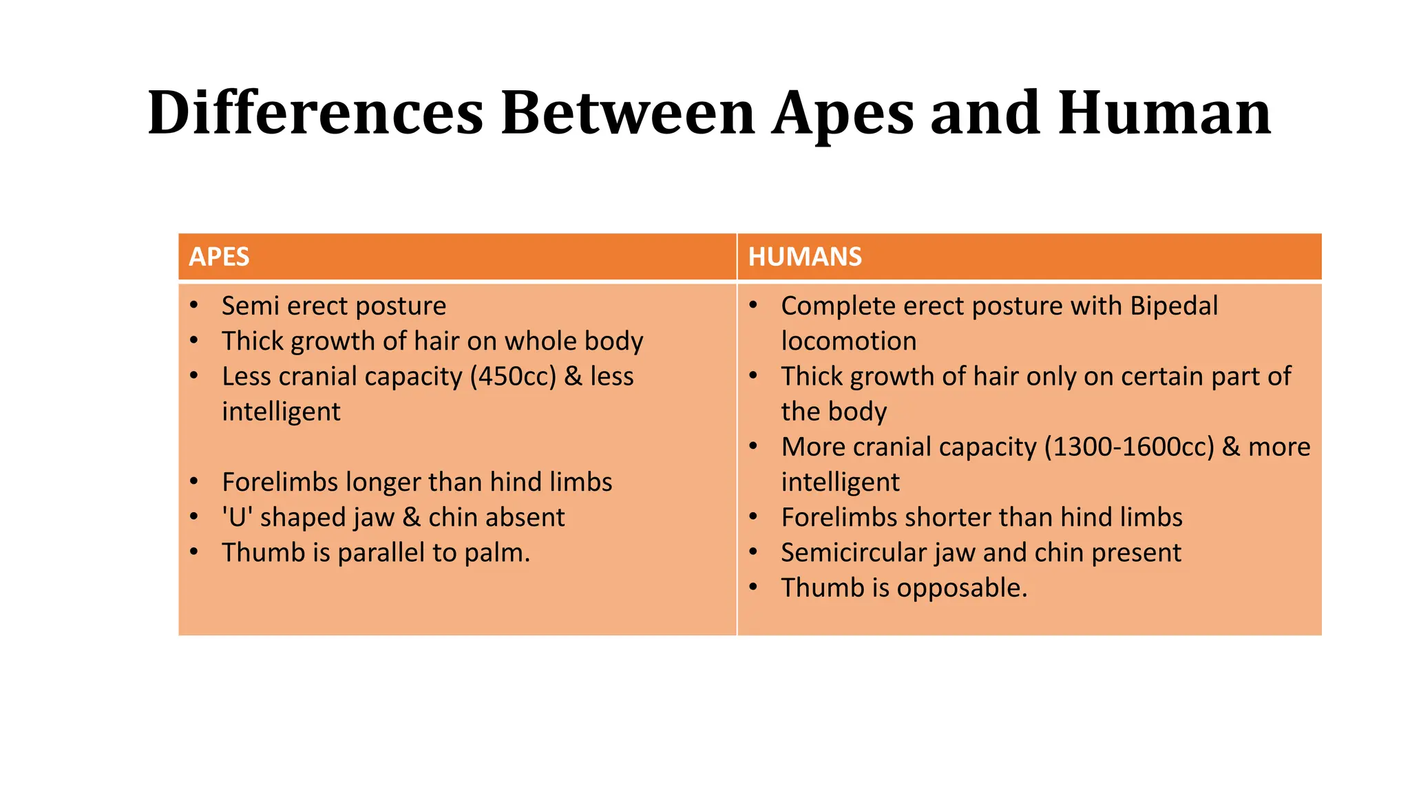 Overview of Origin and evolution of man.pptx