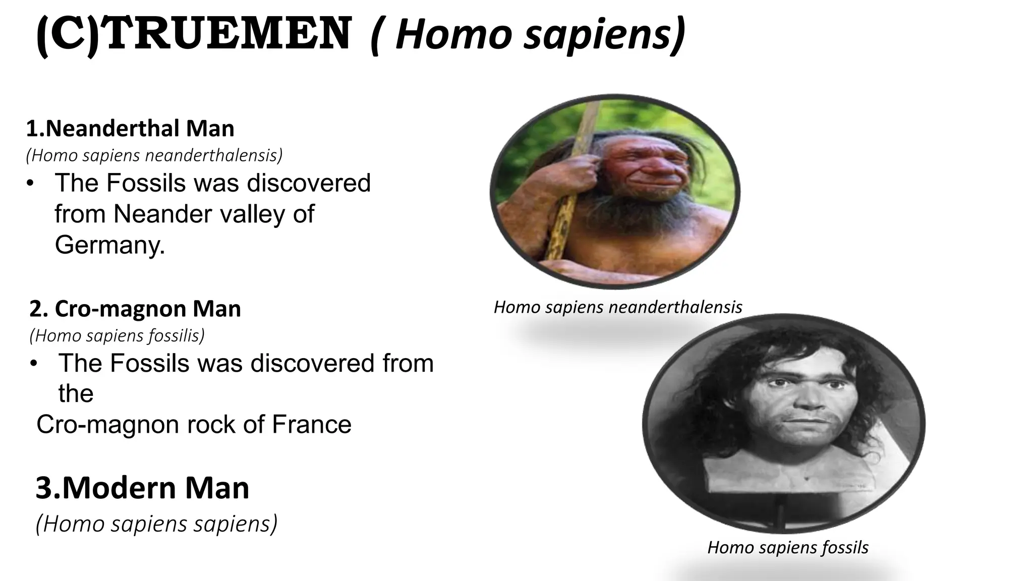 Overview of Origin and evolution of man.pptx
