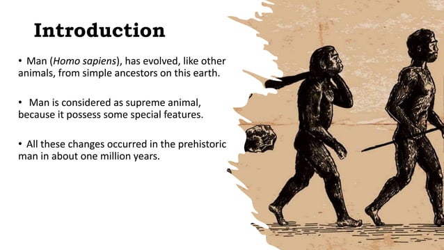 Overview of Origin and evolution of man.pptx | Genetics | Science