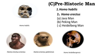 Overview of Origin and evolution of man.pptx