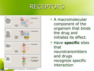 Overview Of Pharmacodynamics 04.15.09