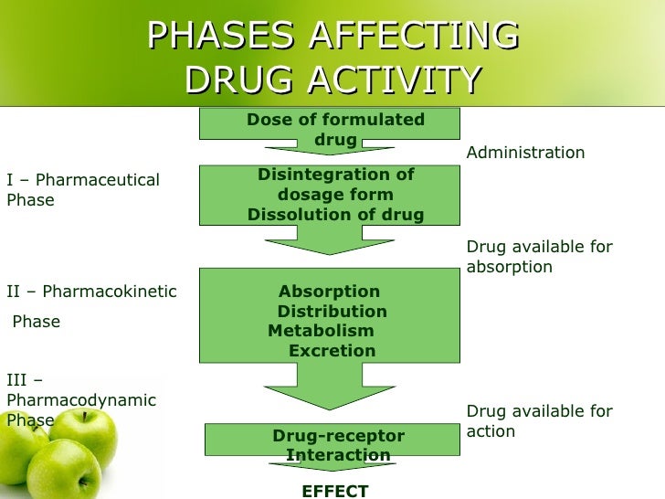 Phases Of Drug Activity at Amber Magoon blog
