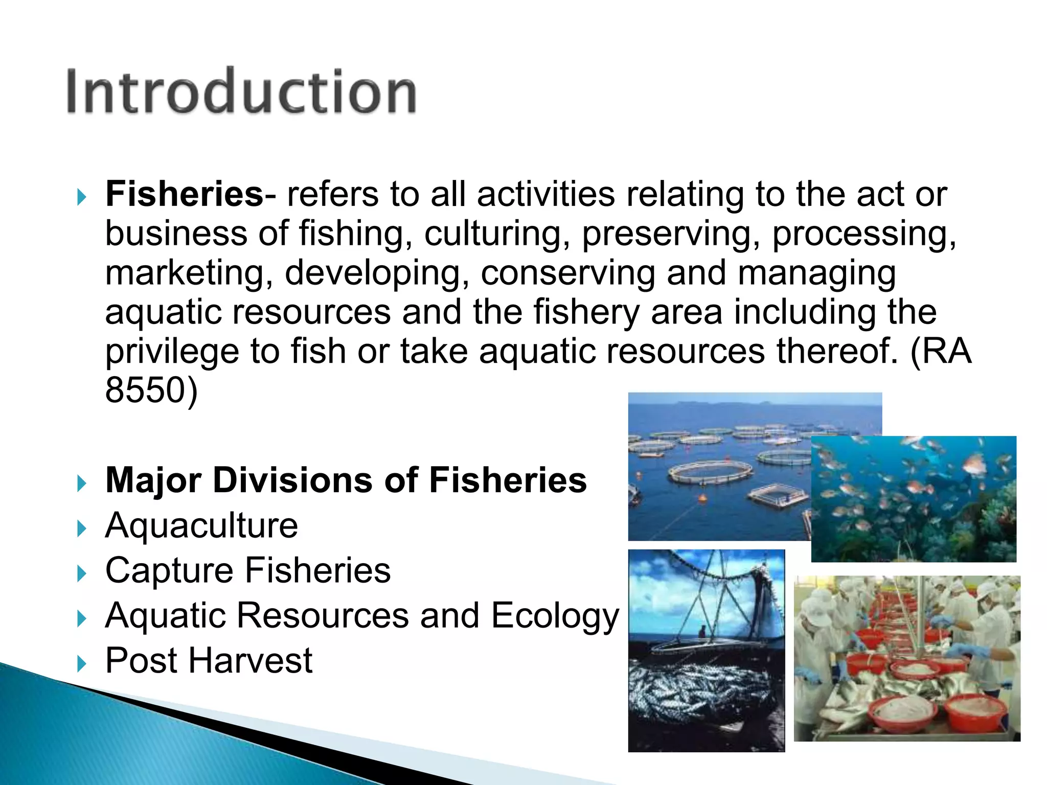 Overview of philippine fisheries | PPTX