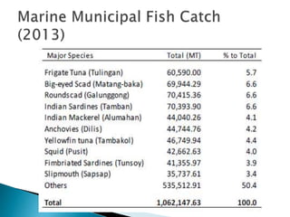 Overview of philippine fisheries | PPTX