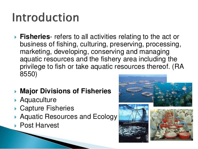 Overview of philippine fisheries