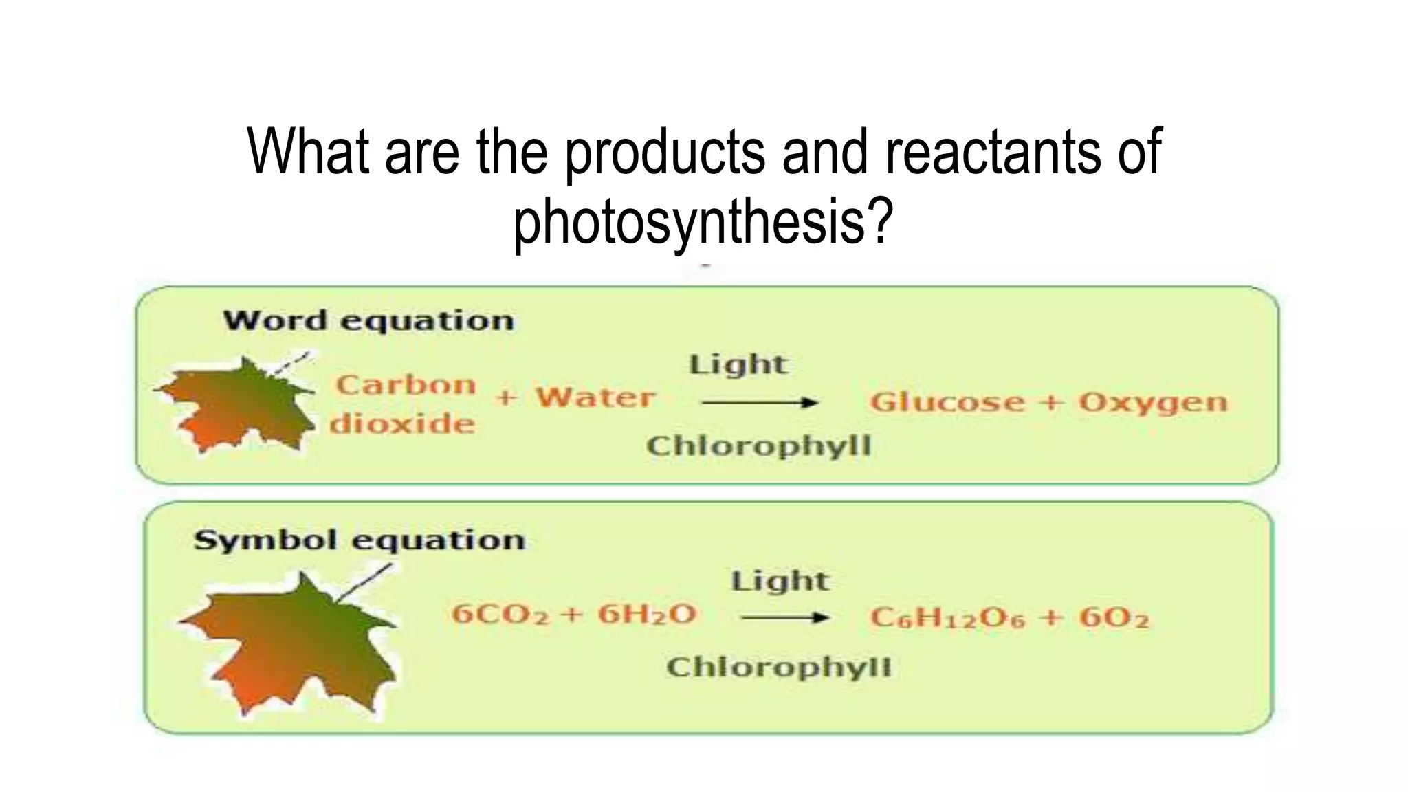 Overview of Photosynthesis ssci 10 Week 2.pptx
