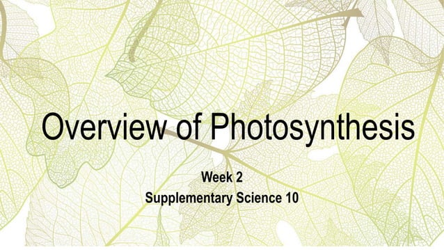 Overview of Photosynthesis ssci 10 Week 2.pptx