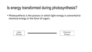 Overview of Photosynthesis ssci 10 Week 2.pptx