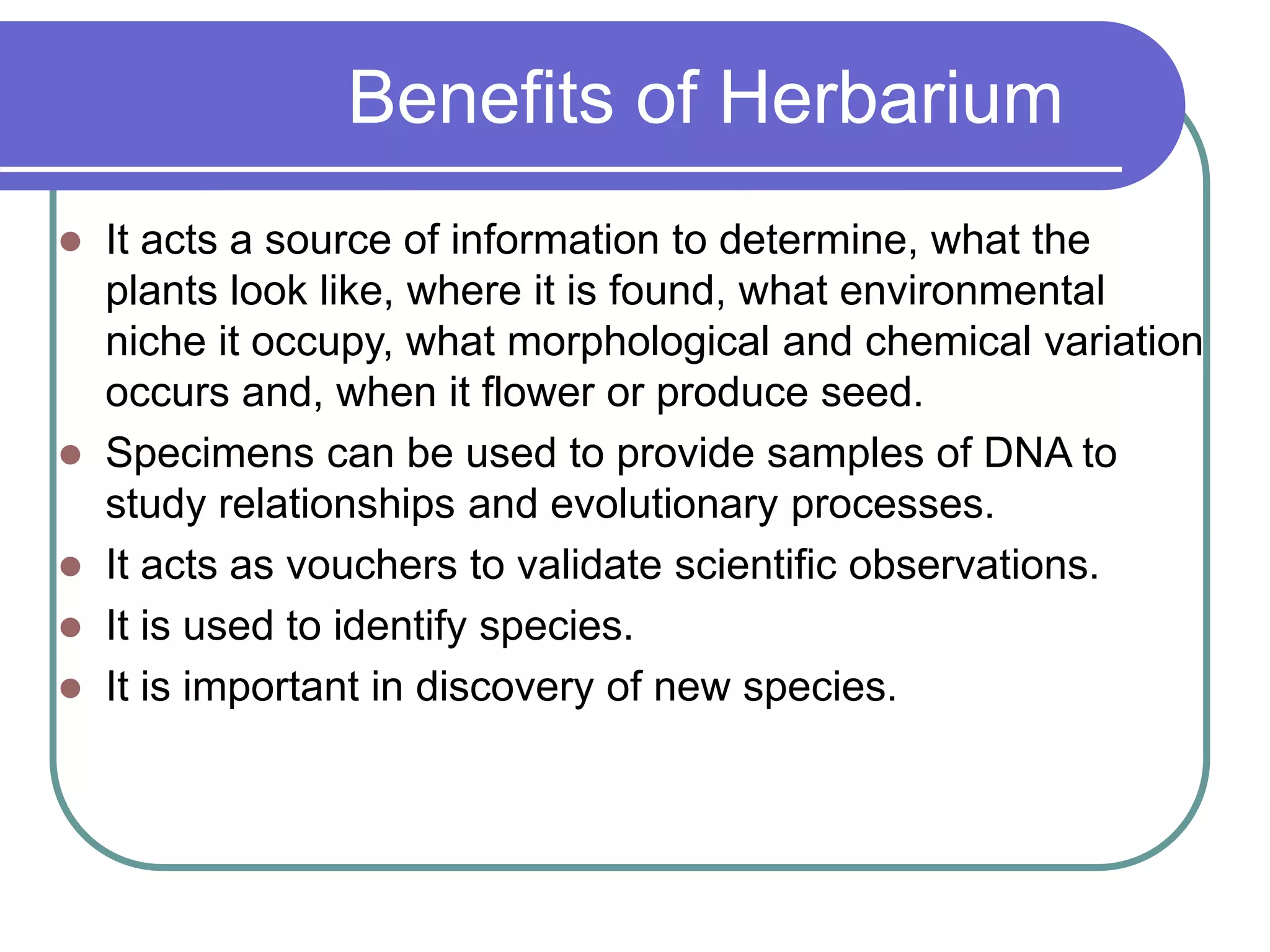 Overview of plant classification | PPTX