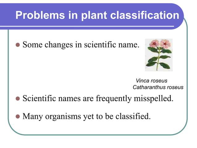 Overview of plant classification | PPTX | Gardening | Home & Garden