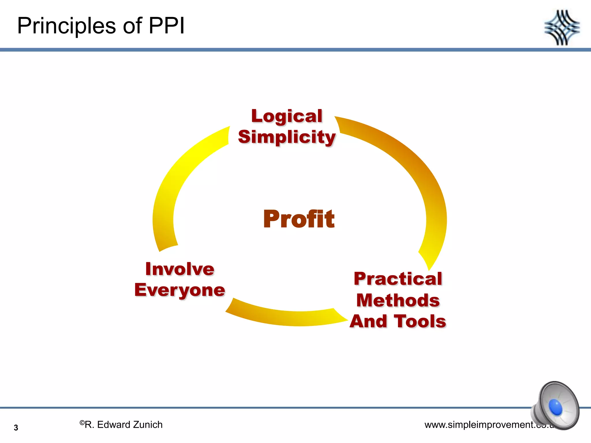 Overview of PPI | PPTX