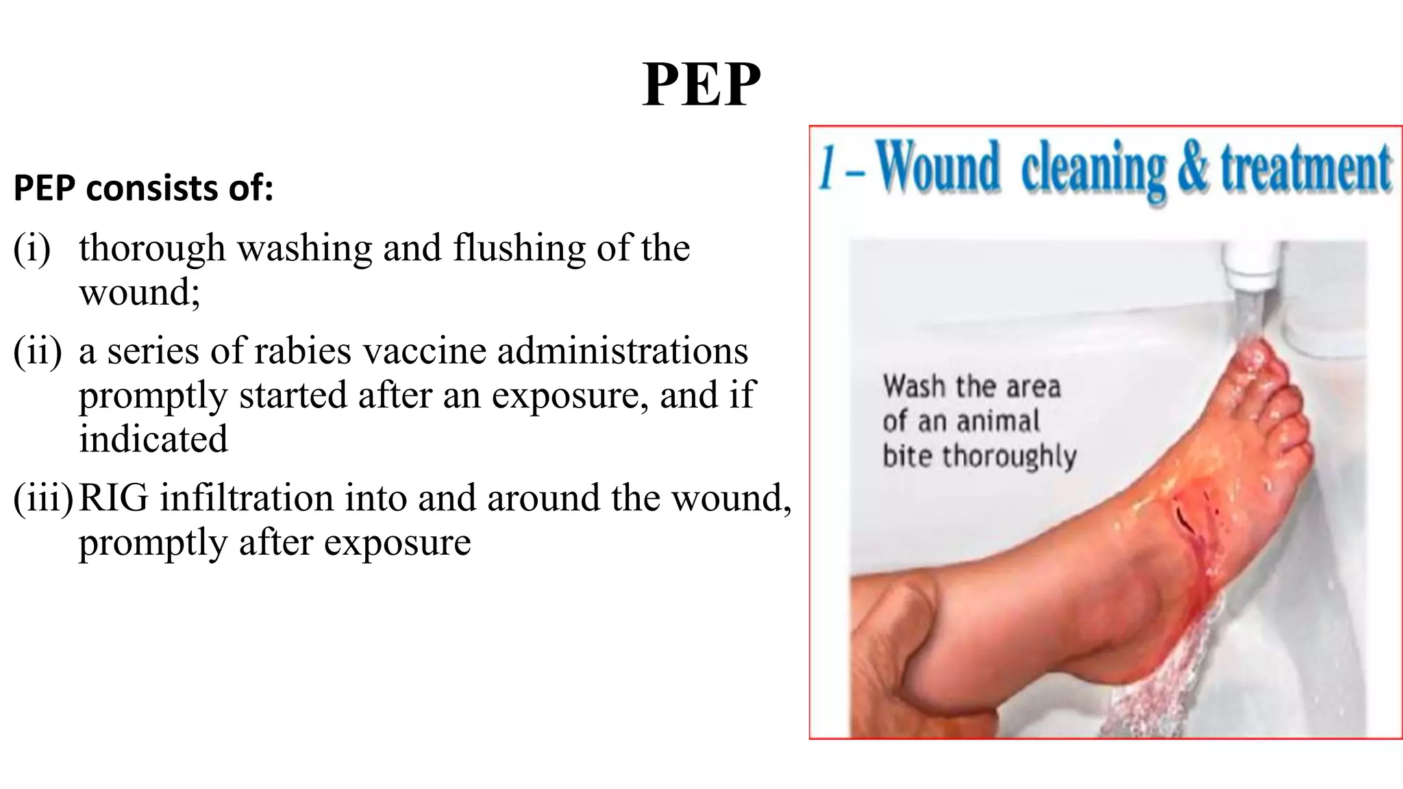 overview of rabies and rabies post exposure administration.pptx
