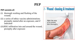 overview of rabies and rabies post exposure administration.pptx ...