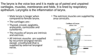 Overview of respiratory tract and pharynx [autosaved] (2) | PPTX