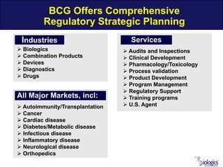 BCG Overview Of Services And Value Propositions 2010 | PPT