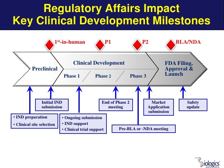 BCG Overview Of Services And Value Propositions 2010