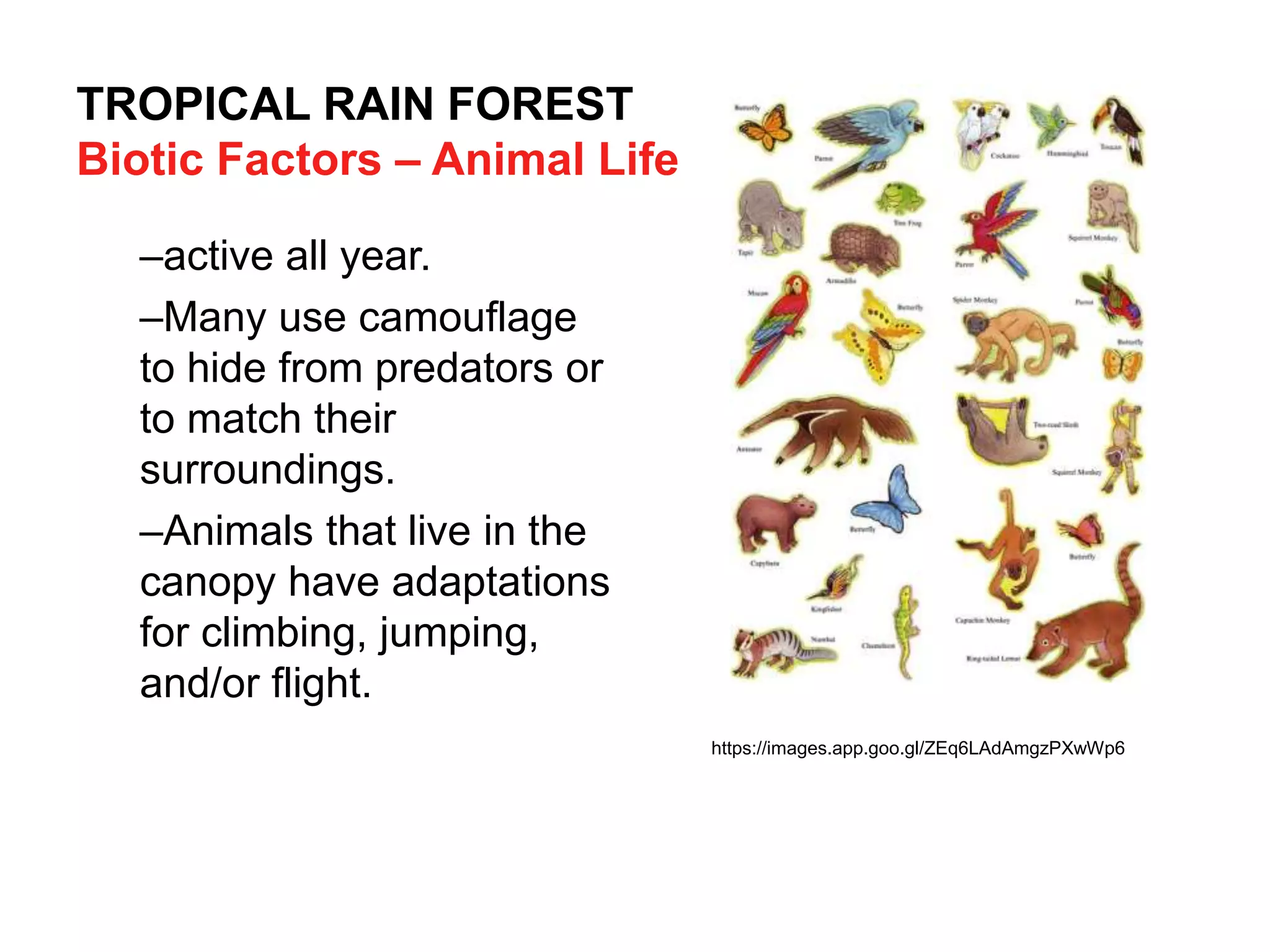 Overview of seven of earth's biomes | PPT