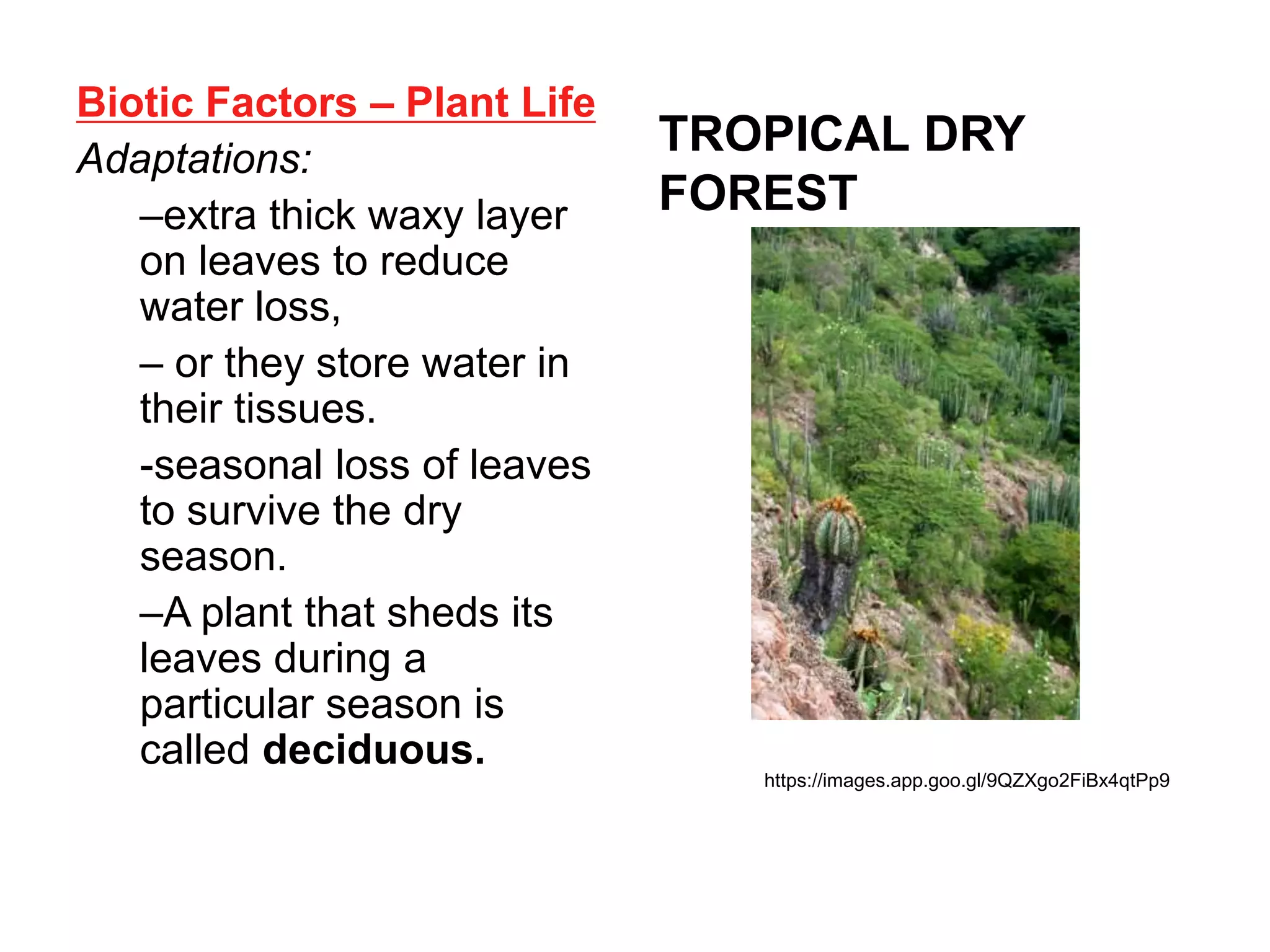 Overview of seven of earth's biomes | PPT