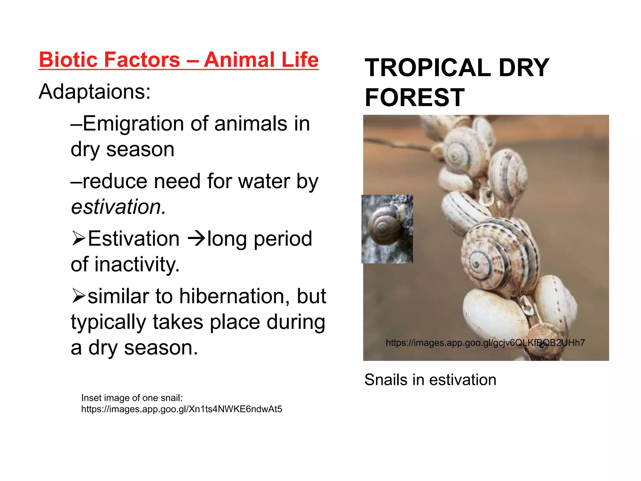 Overview of seven of earth's biomes | PPT