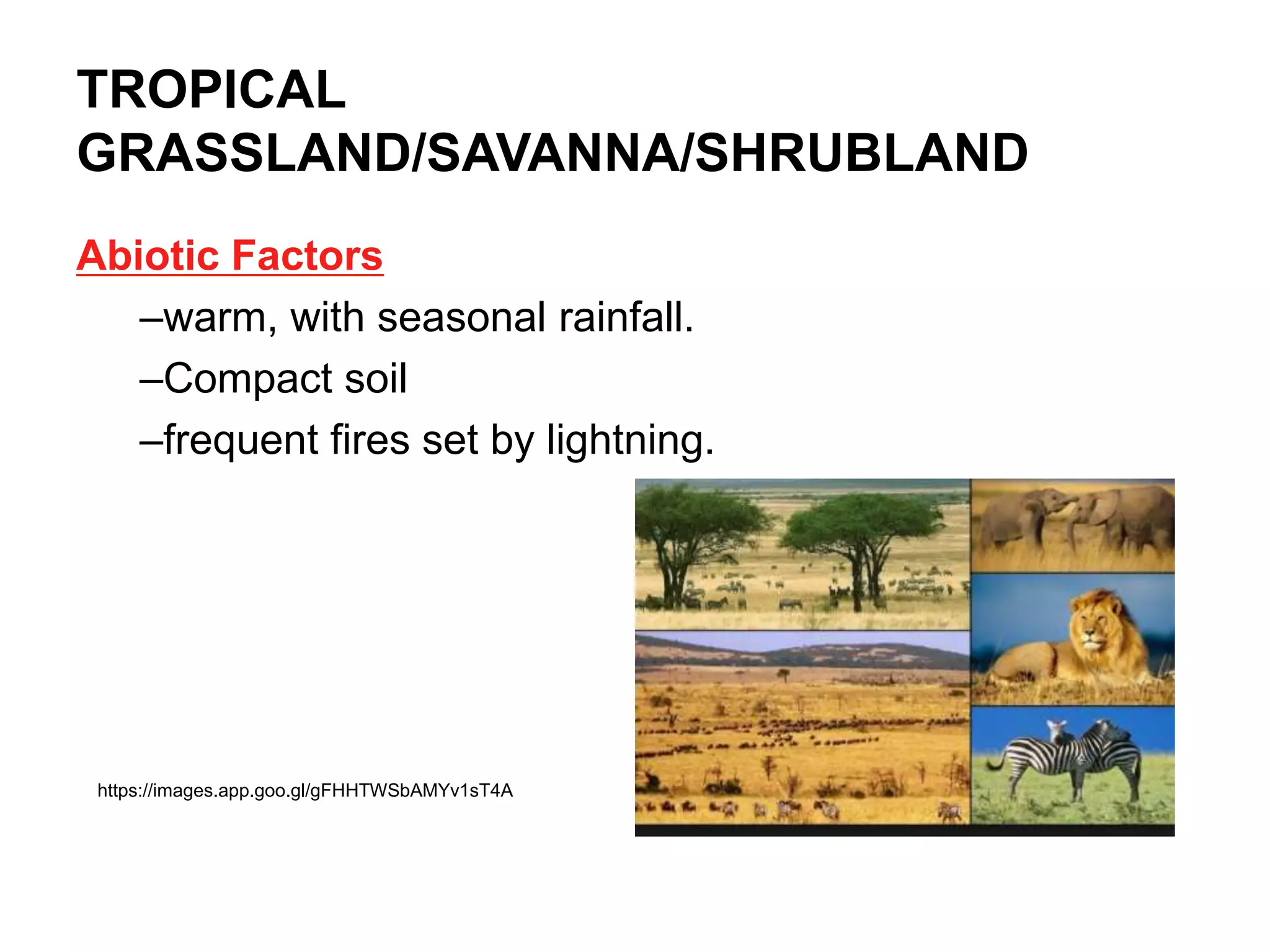 Overview of seven of earth's biomes | PPT