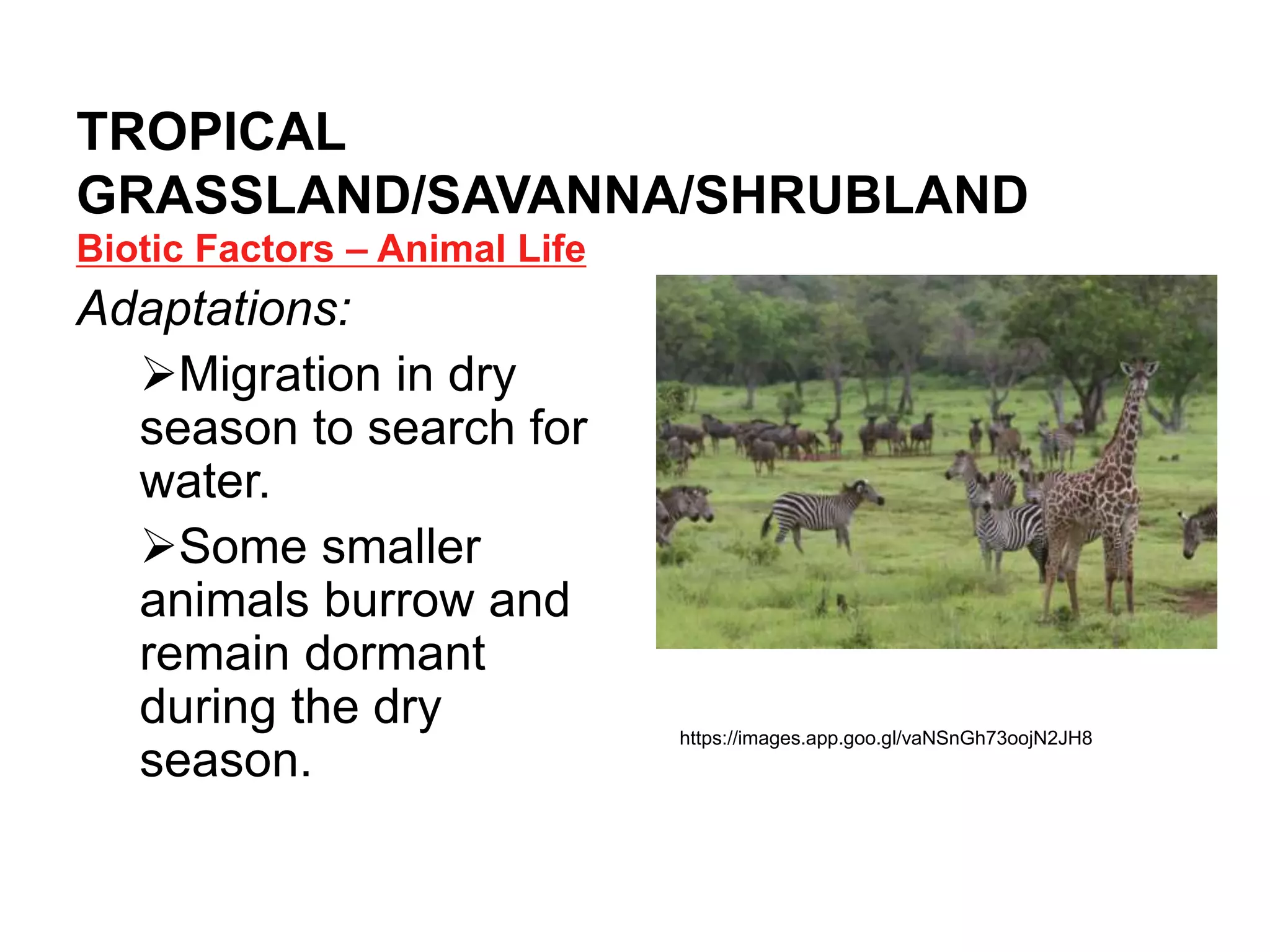 Overview of seven of earth's biomes | PPT