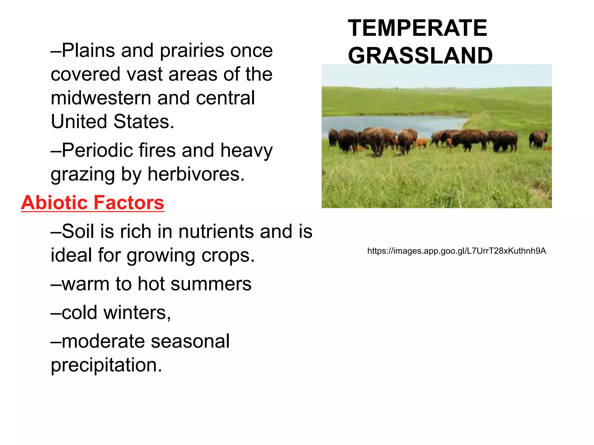 Overview of seven of earth's biomes | PPT