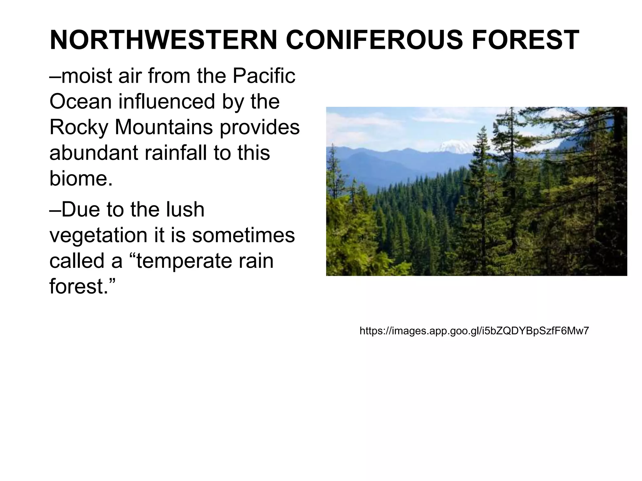 Overview of seven of earth's biomes | PPT