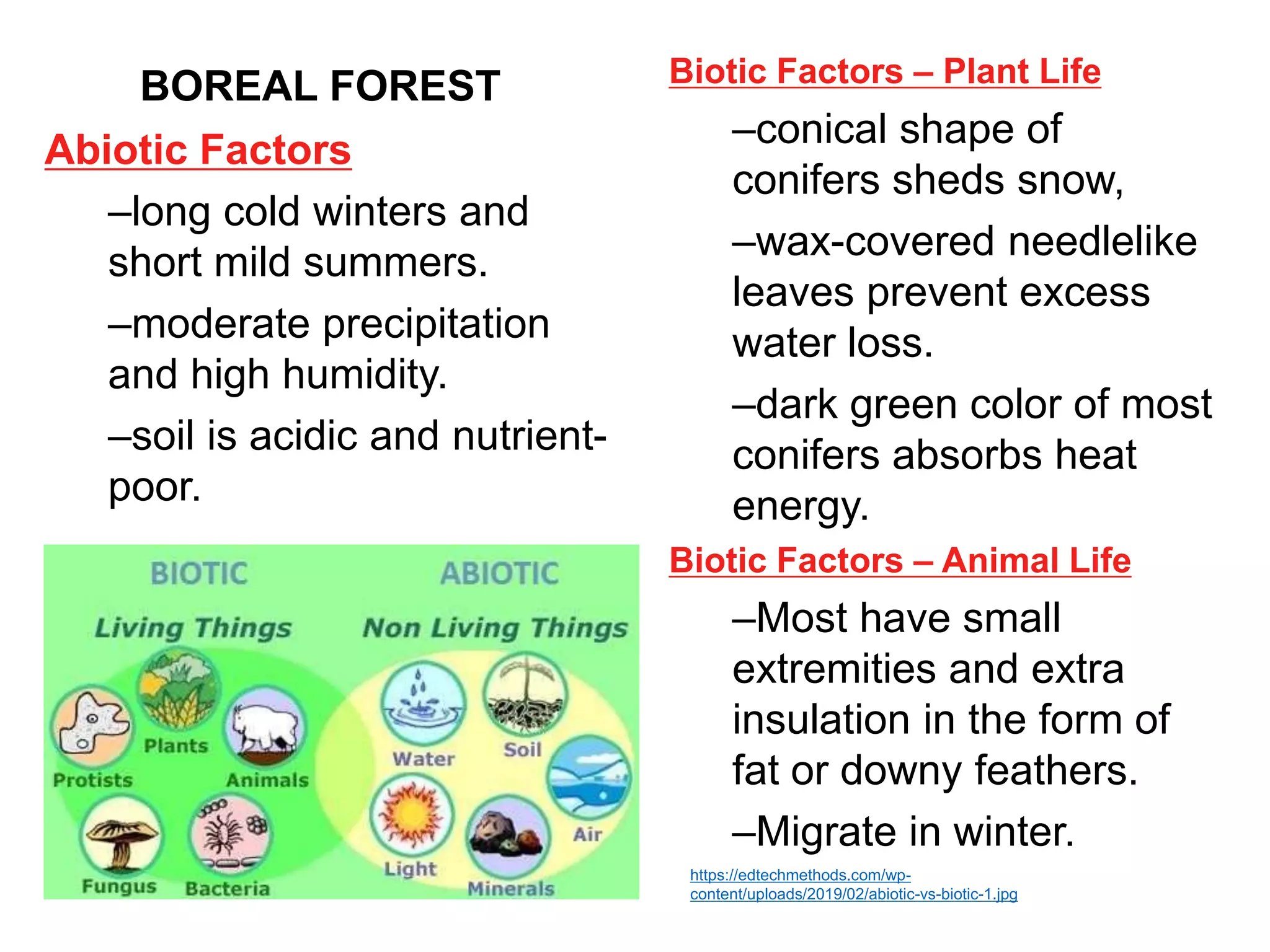 Overview of seven of earth's biomes | PPT