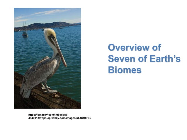 Overview of seven of earth's biomes | PPT