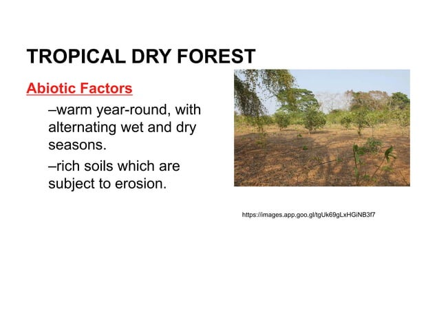 Overview of seven of earth's biomes | PPT