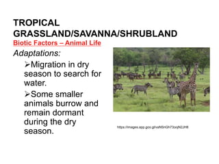 Overview of seven of earth's biomes | PPT