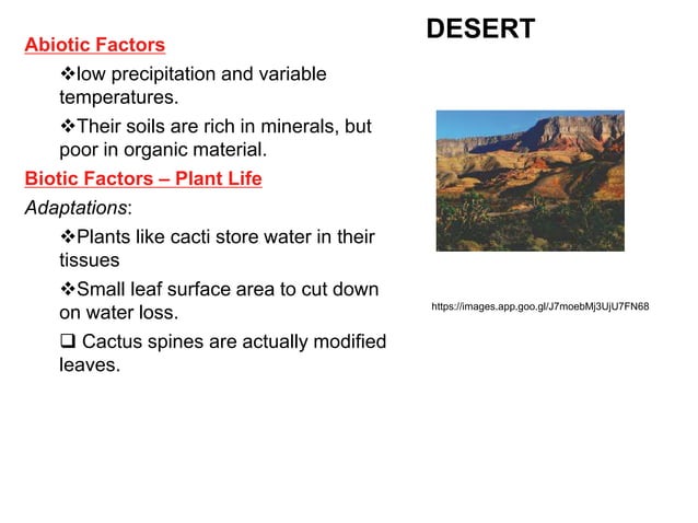 Overview of seven of earth's biomes | PPT