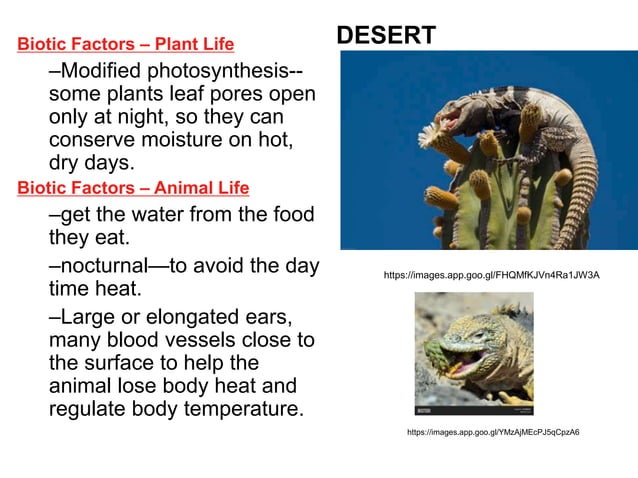 Overview of seven of earth's biomes | PPT