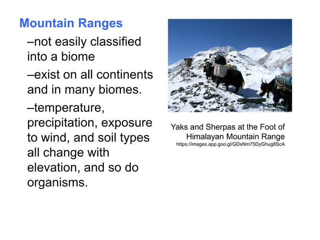 Overview of seven of earth's biomes | PPT