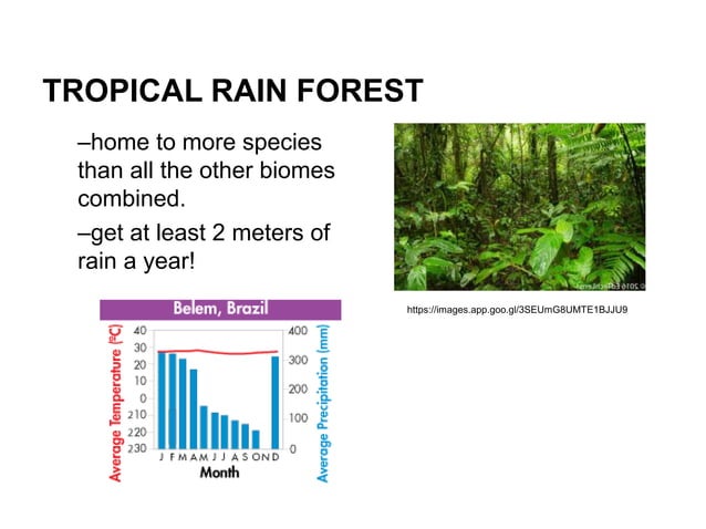 Overview of seven of earth's biomes | PPT