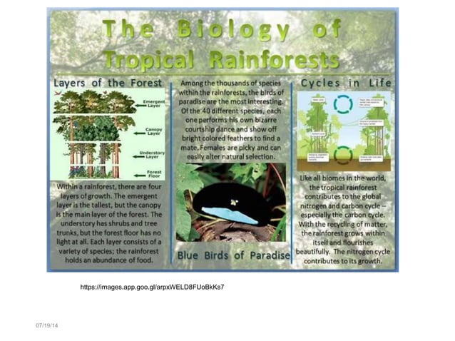 Overview of seven of earth's biomes | PPT