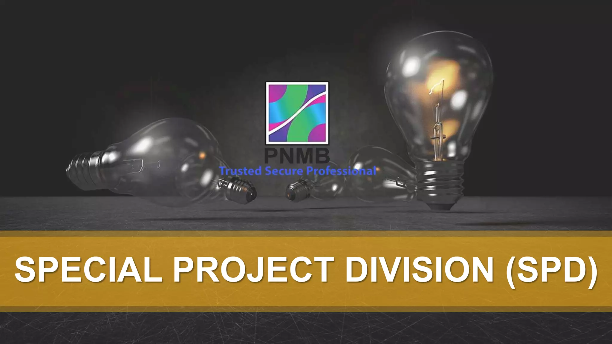 Special Project Division | PPT