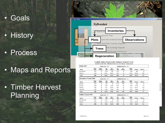 Overview Of SPNHF Bio Timber Inventory | PPT | Woodworking | Arts and ...