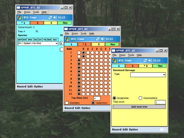 Overview Of SPNHF Bio Timber Inventory | PPT | Woodworking | Arts and ...