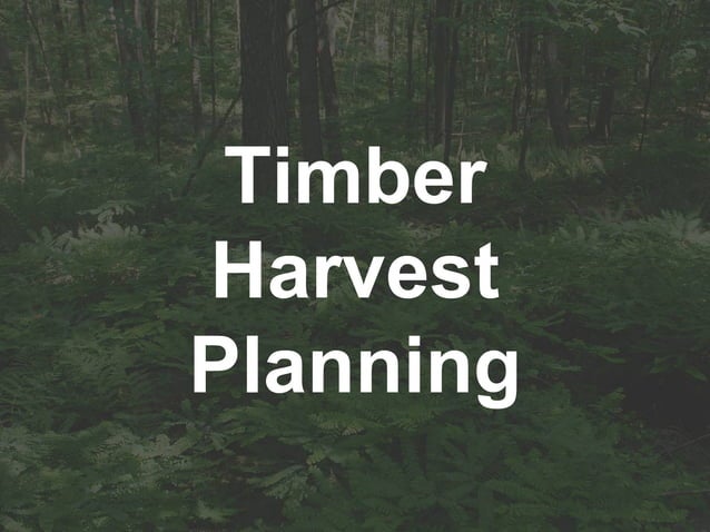 Overview Of SPNHF Bio Timber Inventory | PPT | Woodworking | Arts and ...