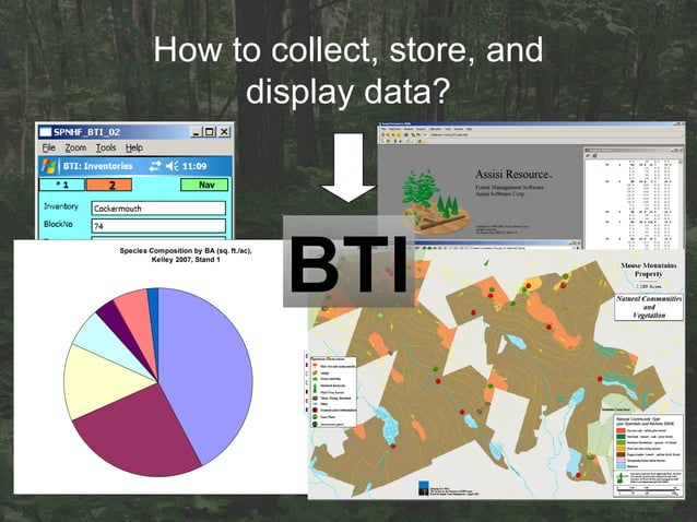 Overview Of SPNHF Bio Timber Inventory | PPT | Woodworking | Arts and ...