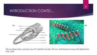 OVERVIEW OF SYPHILIS: Diagnosis and management | PPTX