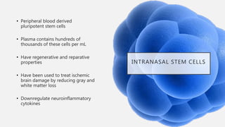 Overview of TBI Therapy | PPTX
