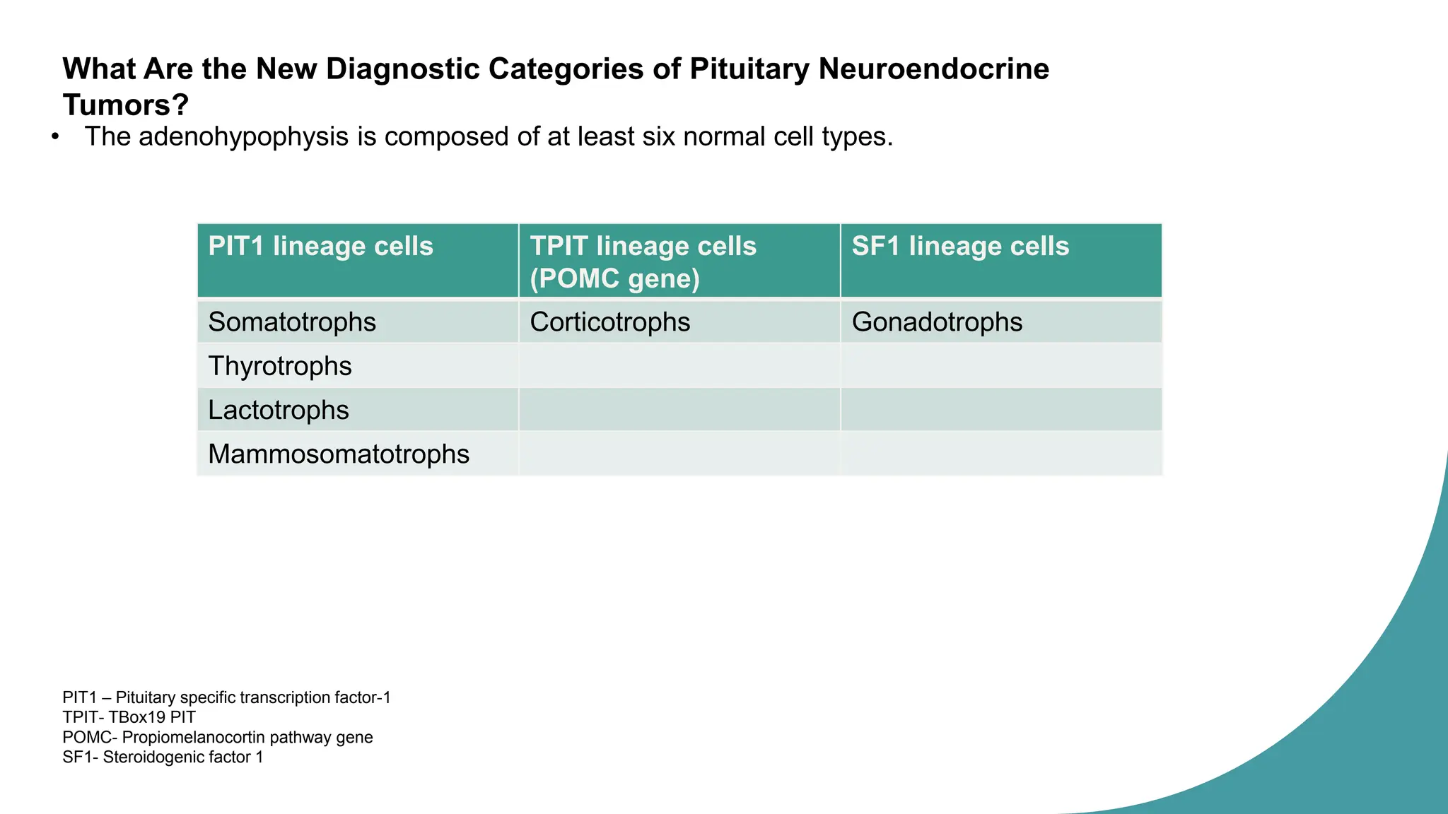 Overview of the 2022 WHO Classification of Pituitary.pptx