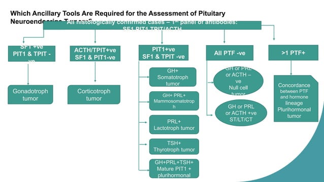 Overview of the 2022 WHO Classification of Pituitary.pptx | Endocrine ...